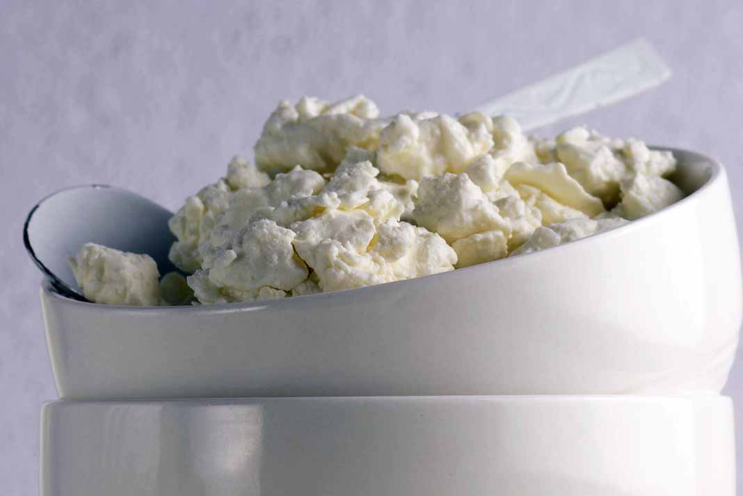 Deliciosas y picositas tostadas de requesón – Chefs Jaime y Ramiro